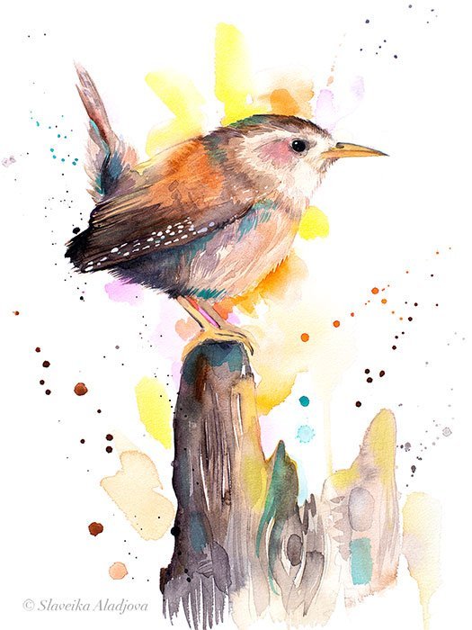 Wren watercolor painting print by Slaveika Aladjova