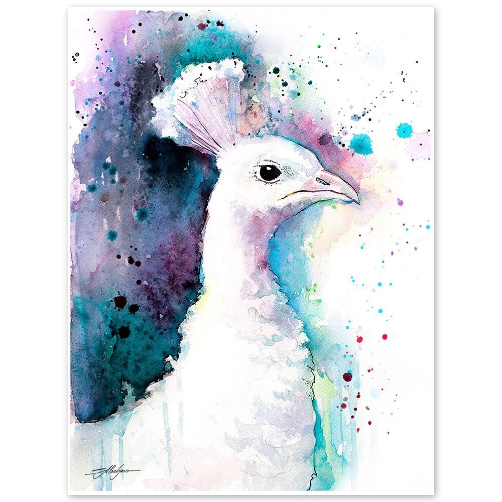 White Peacock watercolor painting print by Slaveika Aladjova