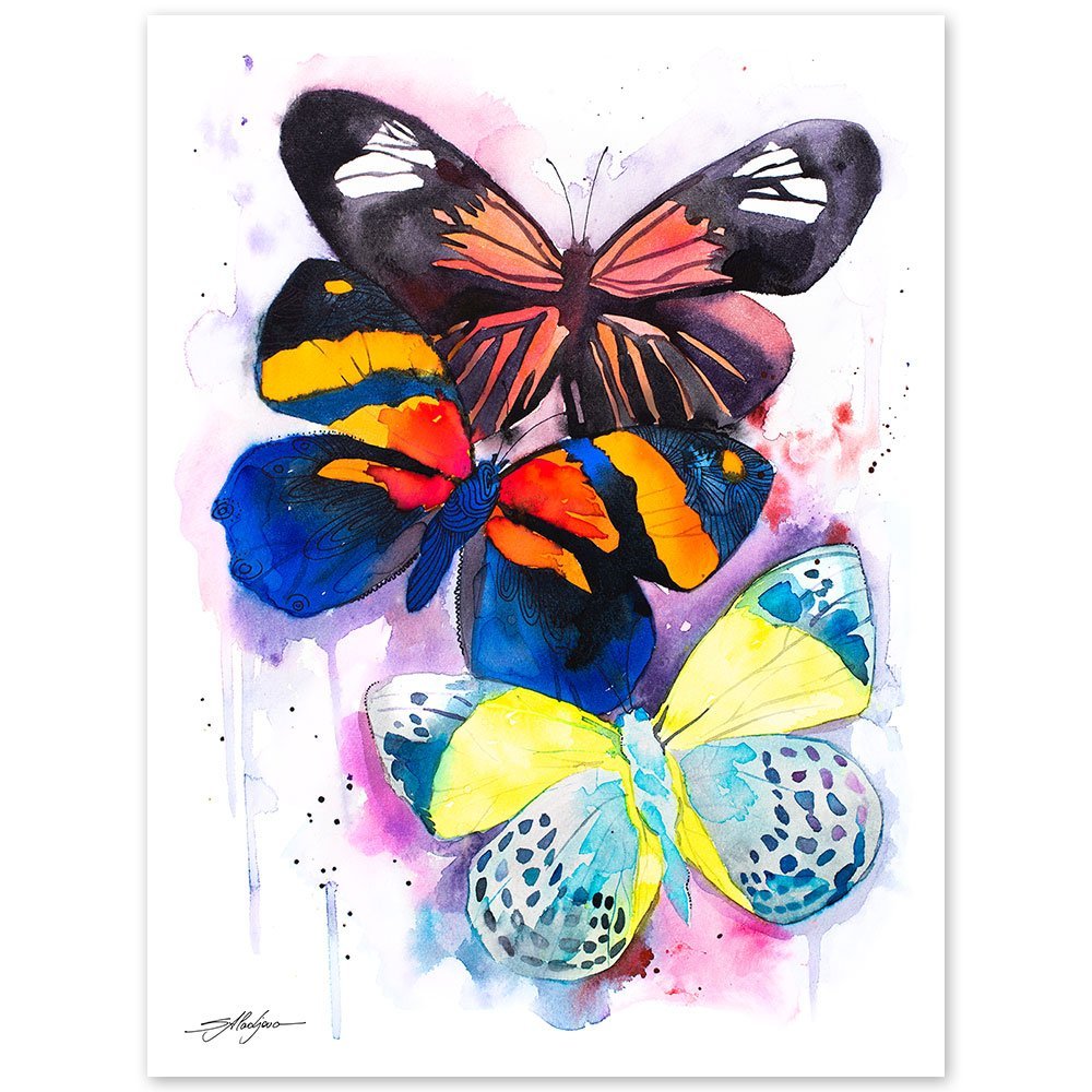 Colorful Paintings Of Butterflies