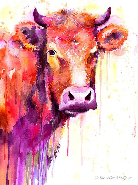 Cow watercolor painting print by Slaveika Aladjova